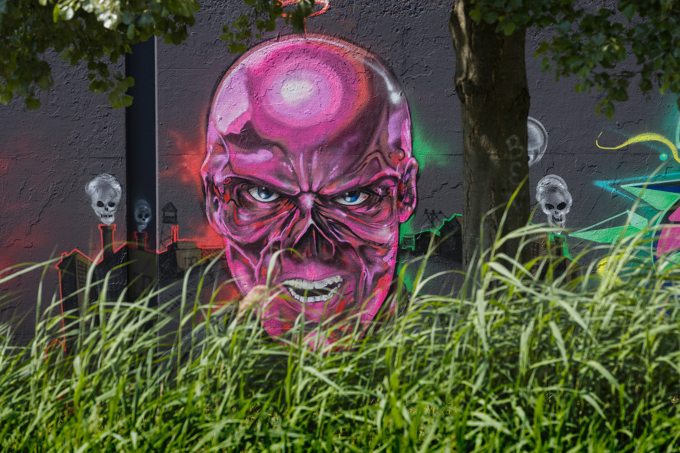 Graffiti-kunstenaars maken Eindhoven weer een beetje mooier | Foto | ed.nl