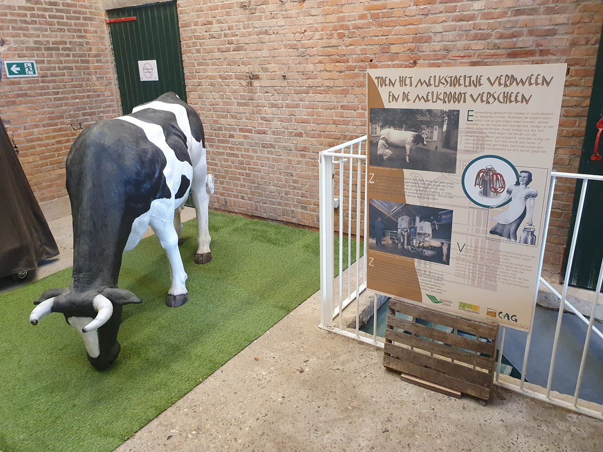 “Waar is de tijd dat de melkboer nog aan huis kwam?”: KVVV Eeklo zet ...