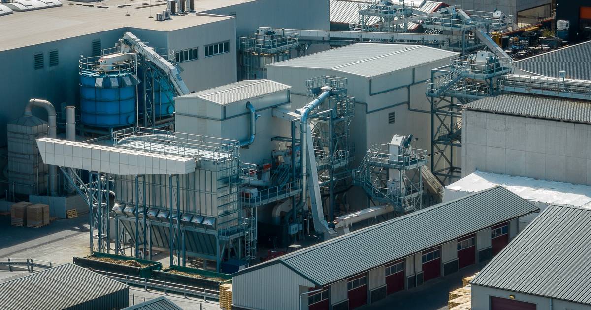 Icebear in Steenwijk moet problemen met gevaarlijke stof snel oplossen: dwangsom blijft dreigen ...