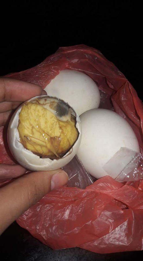 De gekste gerechten op vakantie: zo maak je ze thuis | Foto | tubantia.nl