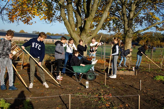 Leerlingen Elde College ontleden straks bruine bonen uit eigen ...