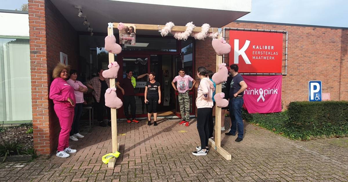Roze Week bij maatwerkbedrijf Kaliber brengt 550 euro in het laatje ...