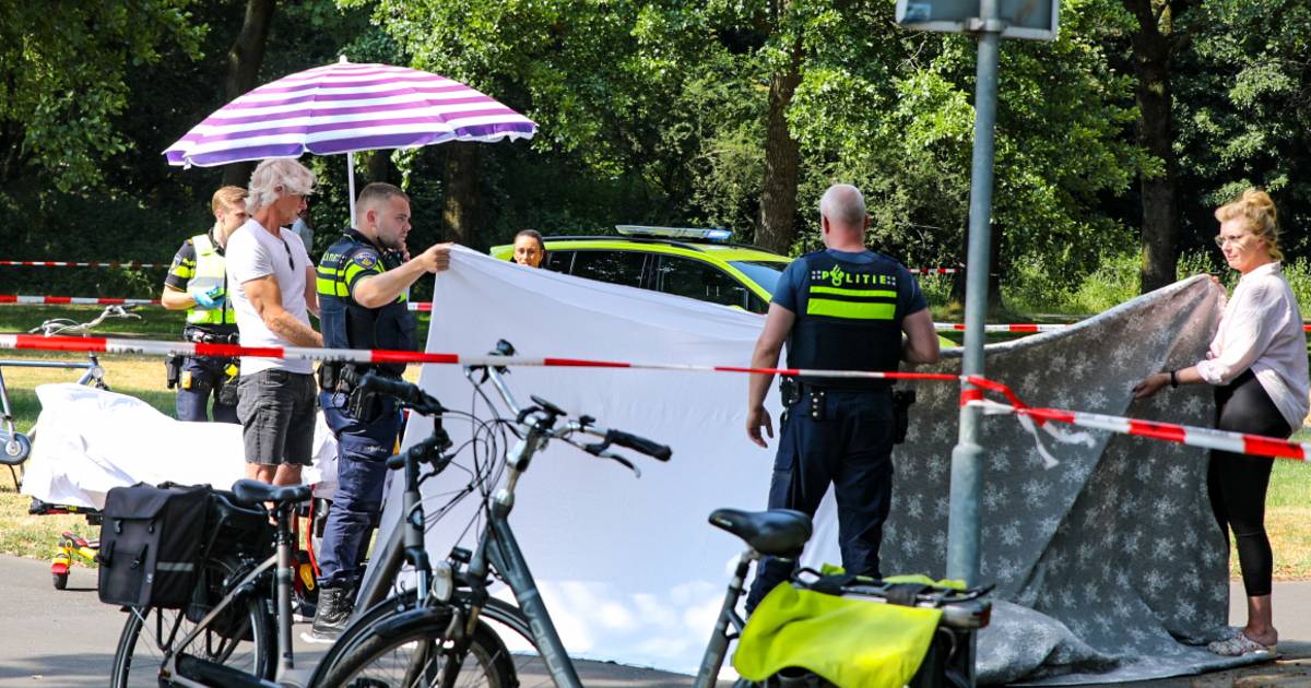 Voorrangsfout van Anna (41) kost 82-jarige fietser het leven: ‘Ik ...