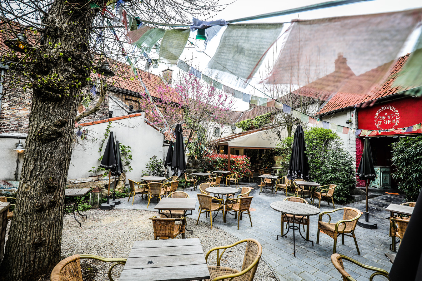 RESTOTIP. De Stoepa in Brugge: “Een streepje zonneschijn? Dan zit het ...