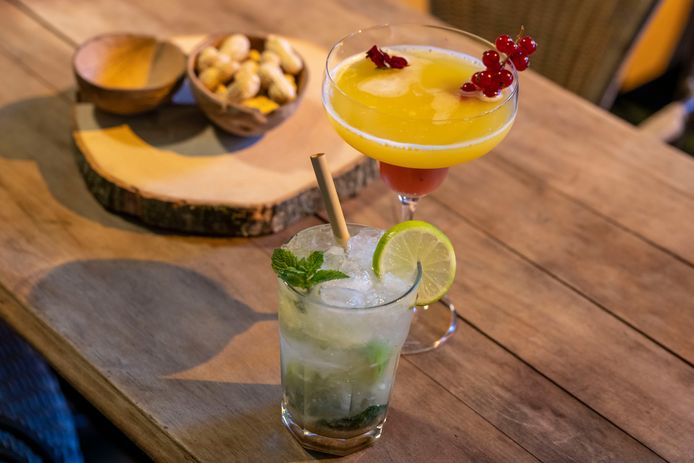 Ondernemende broers openen samen pop-up cocktailbar ‘Bar Botanique ...