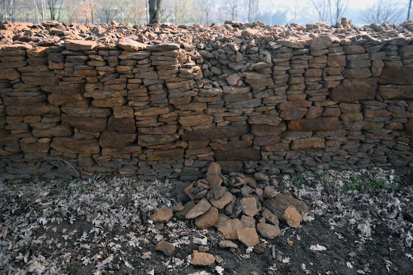 Marc Elsen (73) krijgt eervolle vermelding tijdens ...