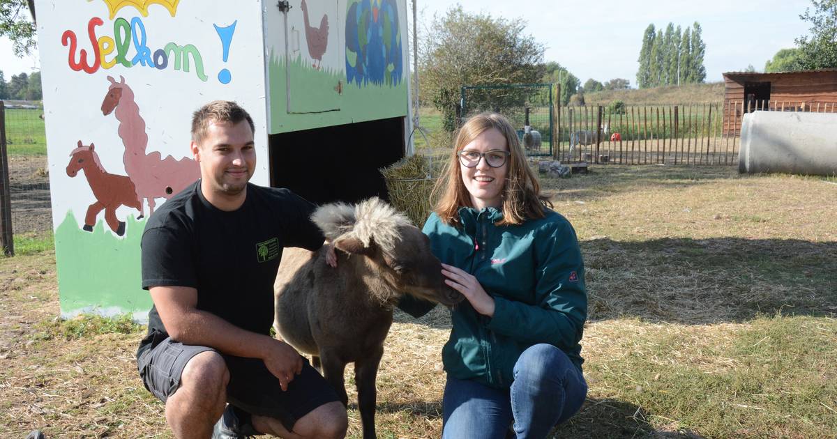 Laura (21) maakt haar droom waar met kinderboerderij ’t Sweigers ...