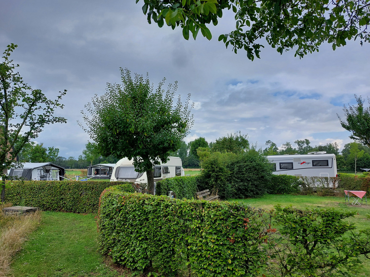 Optimisme overheerst ondanks de buien op de camping: ‘Wat nat is ...