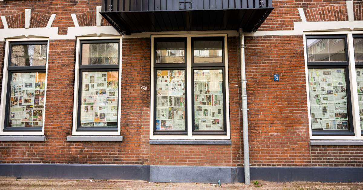 Huizen bomvol katten en honderd slangen in Ikeadozen: het zullen je ...