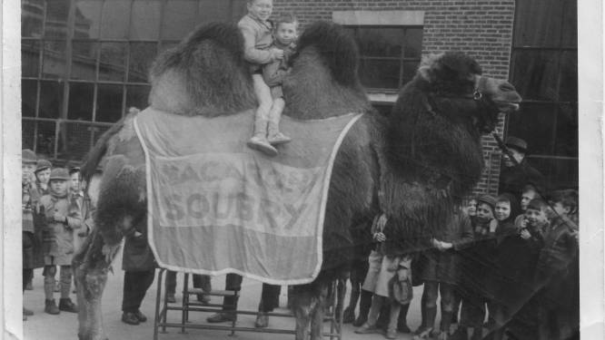 Gentse topfotograaf Frank De Mulder en zijn vriendin Eline bouwen La ...