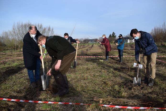 Ex-boswachter Hubert plant bos voor alle Evergemnaren: “Hoop dat veel ...
