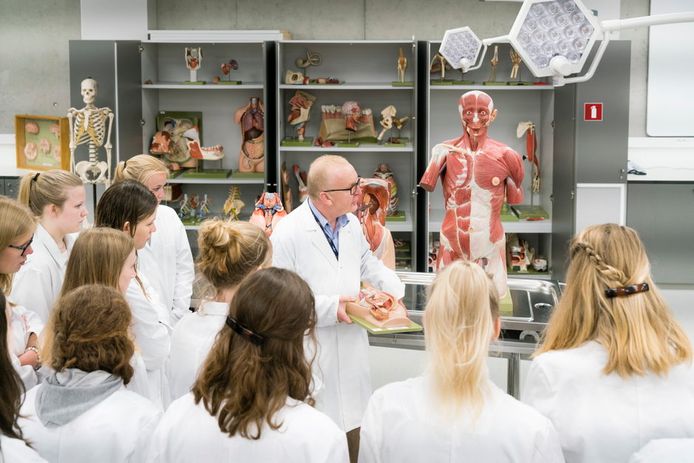 Studenten UGent geneeskunde scoren beter dan Europese collega’s | Gent ...