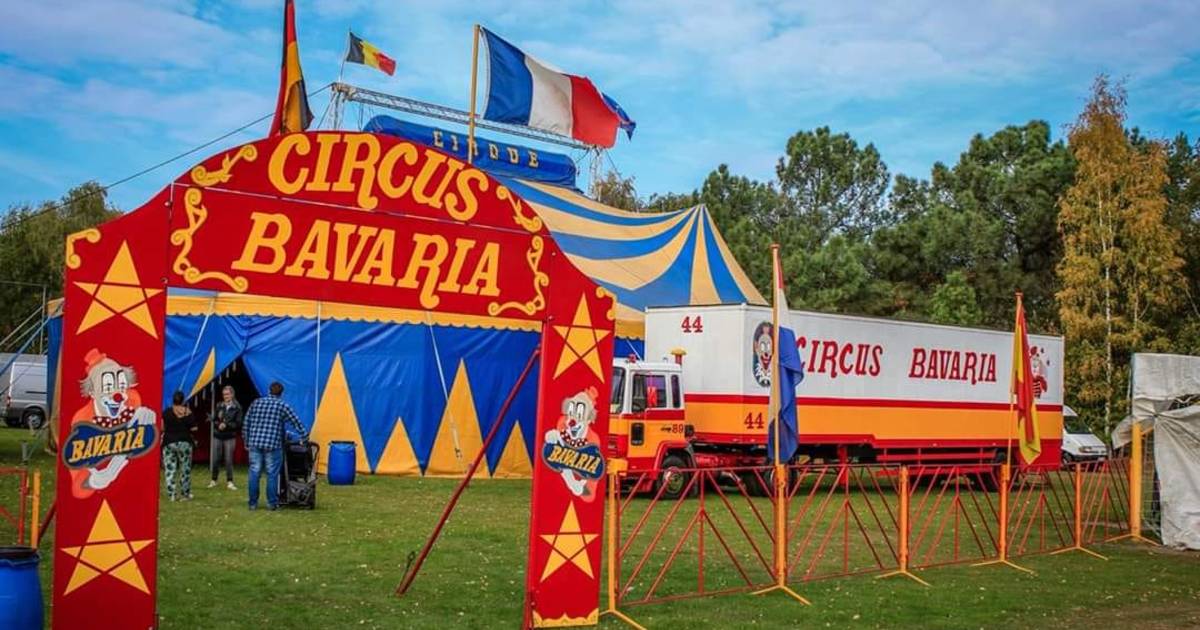 Circus Bavaria schrapt shows in herfstvakantie | Evergem | hln.be