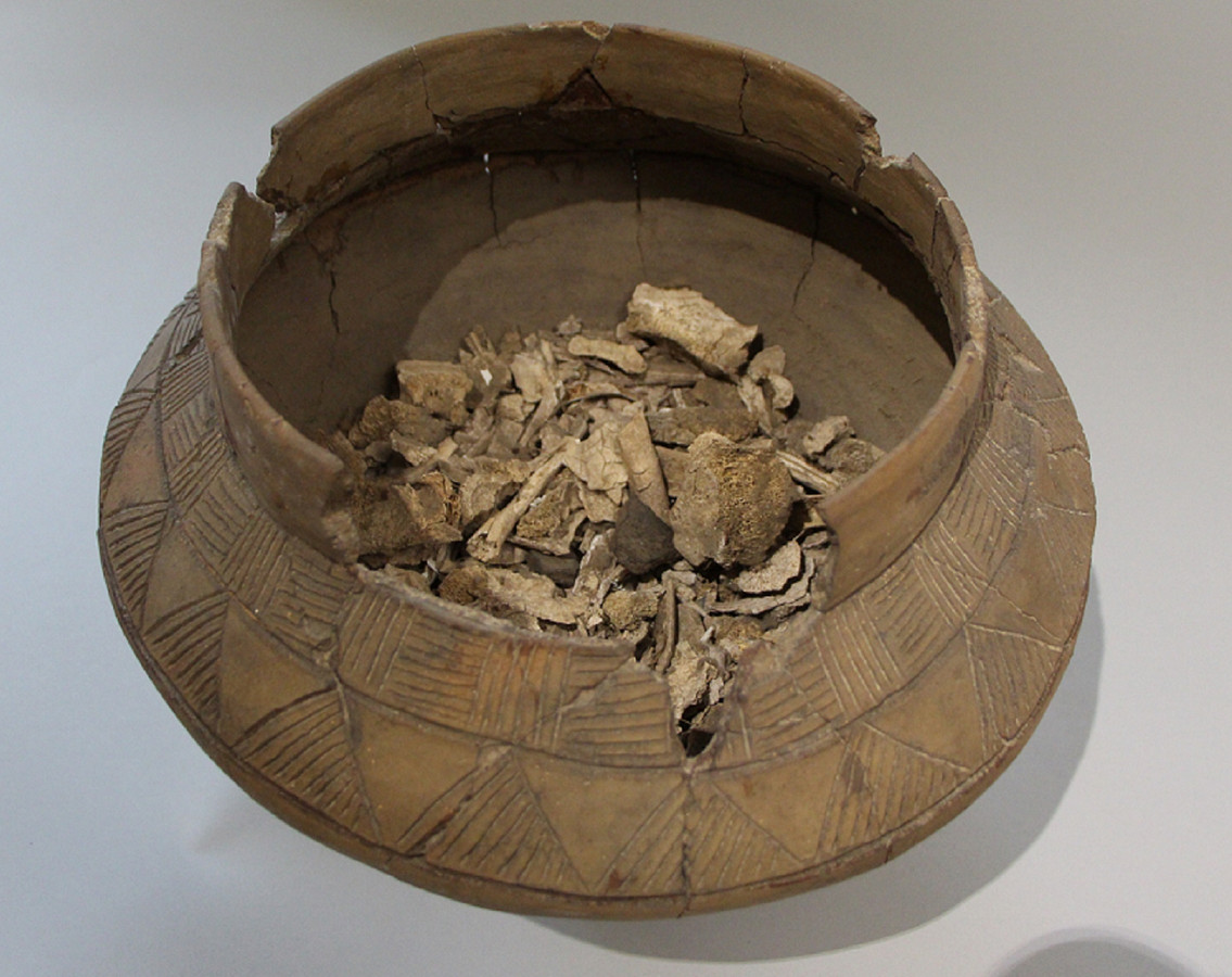 Archeoloog pleit voor meer aandacht voor Eibergse grafheuvels | Foto ...