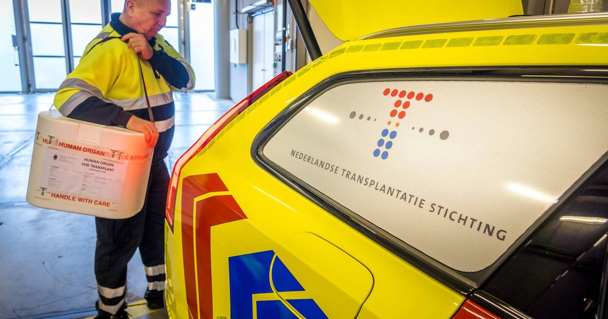 Dit is hoeveel mensen in Best toestemming geven voor orgaandonatie ...