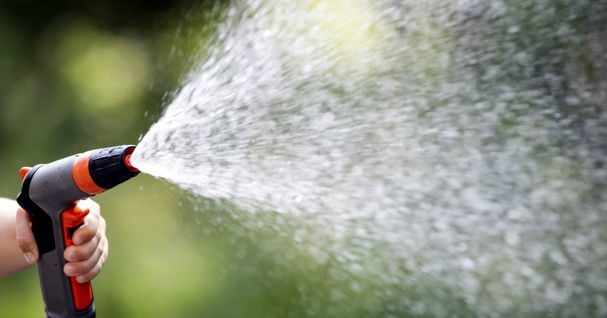 Vitens loost duizenden liters water in sloot op de Veluwe: ‘Het lijkt ...