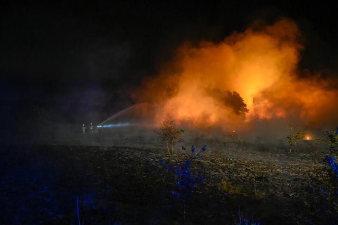 Grote brand in Wierdense Veld legt flink stuk natuur in as, heidebrand ...