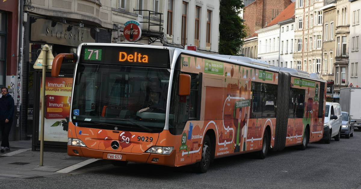 Iconische lijn 71 viert 50e verjaardag: “Een heel populaire buslijn ...