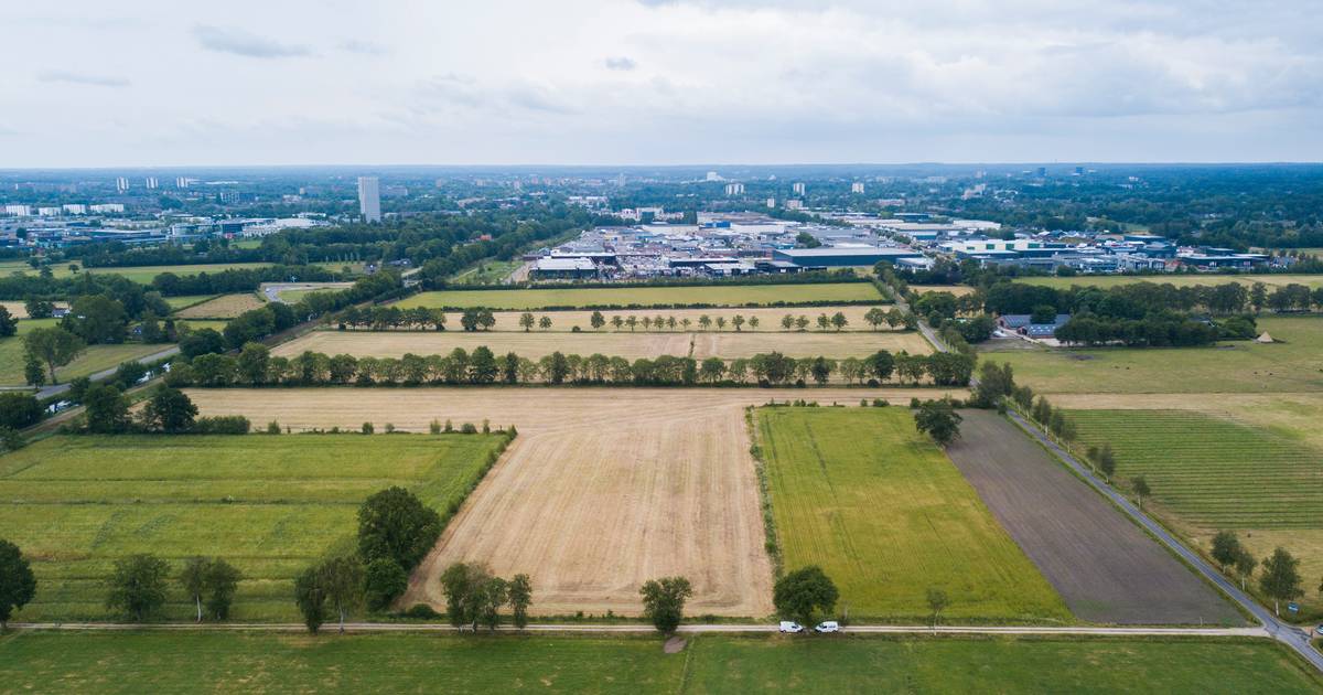 Zonnepark in Apeldoorn komt op grond van prinsessen Beatrix, Margriet ...