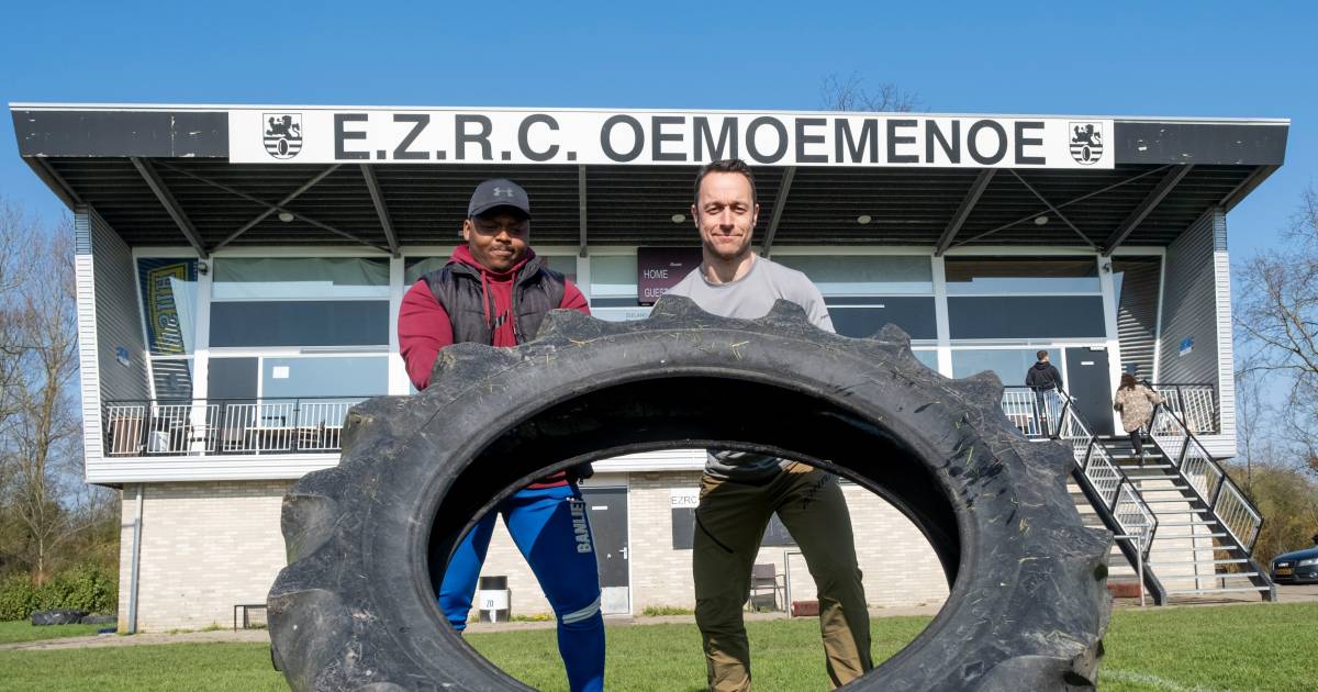 Niet opgeven, hoe vaak het leven je ook tegen de grond werkt: De Harde ...