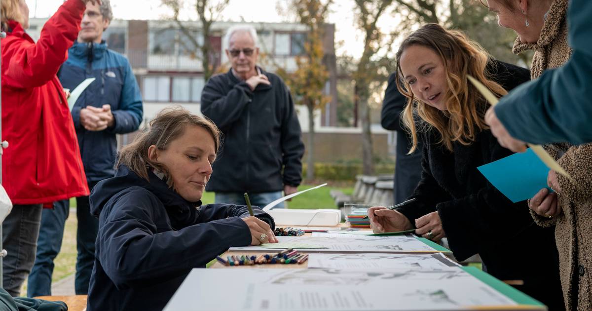Inwoners droppen ideeën over vergroening Deventer wijk: ‘Dit vergroot ...