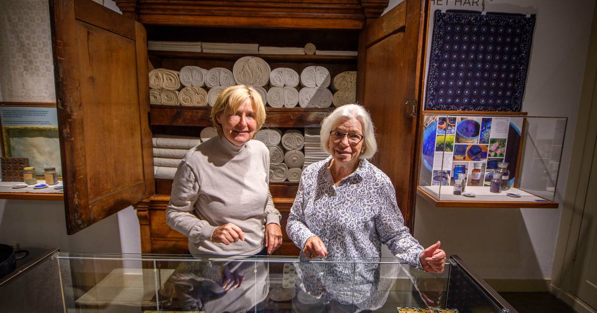Hoe een eeuwenoud boek Borne blauw laat kleuren: ‘We hebben goud in ...