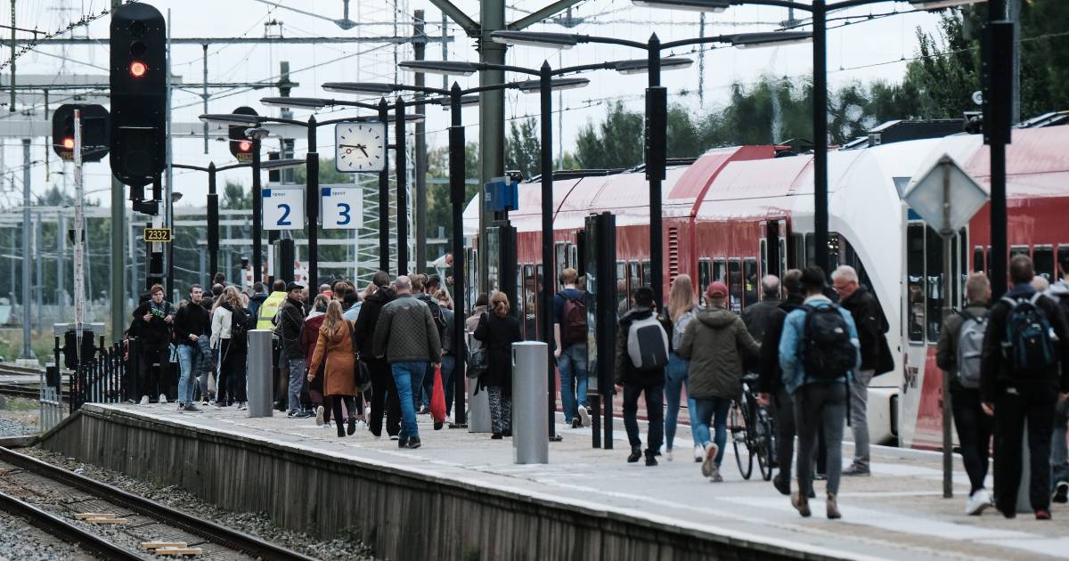 Stoptrein Doetinchem-Arnhem in top 5 drukste trajecten | Arnhem ...