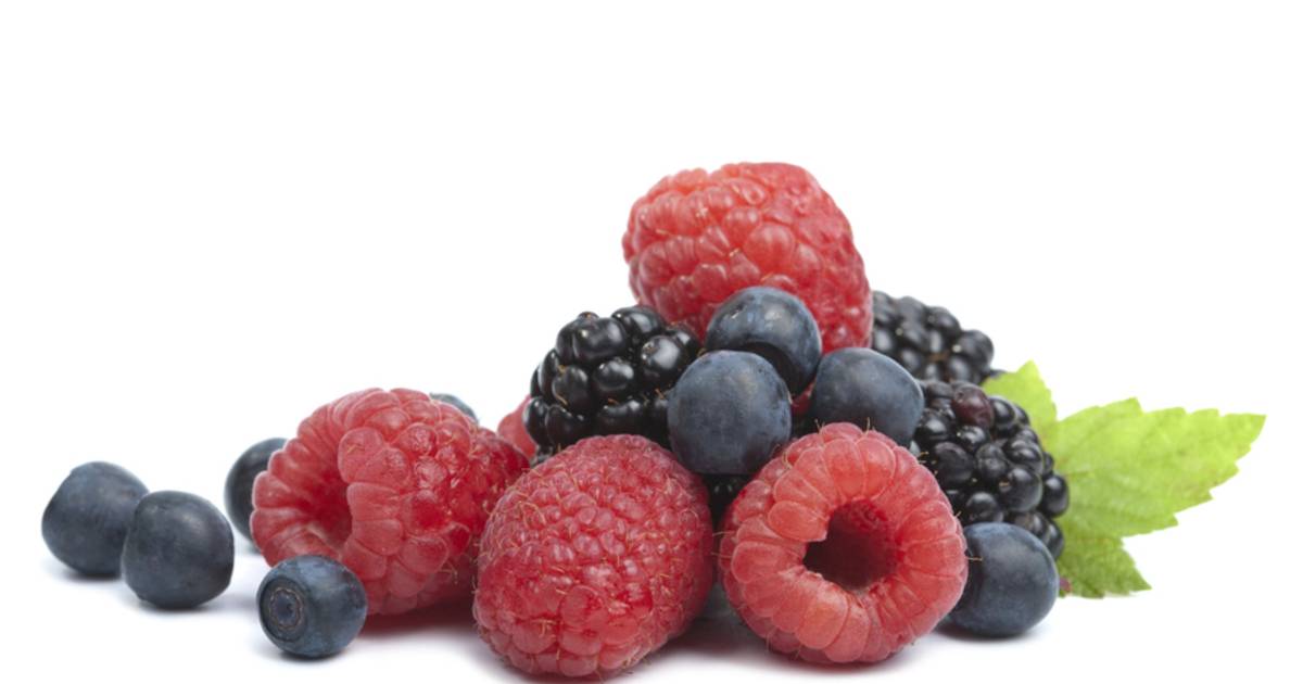 Manger des baies et fruits contre Parkinson | Santé & bien-être | 7sur7.be