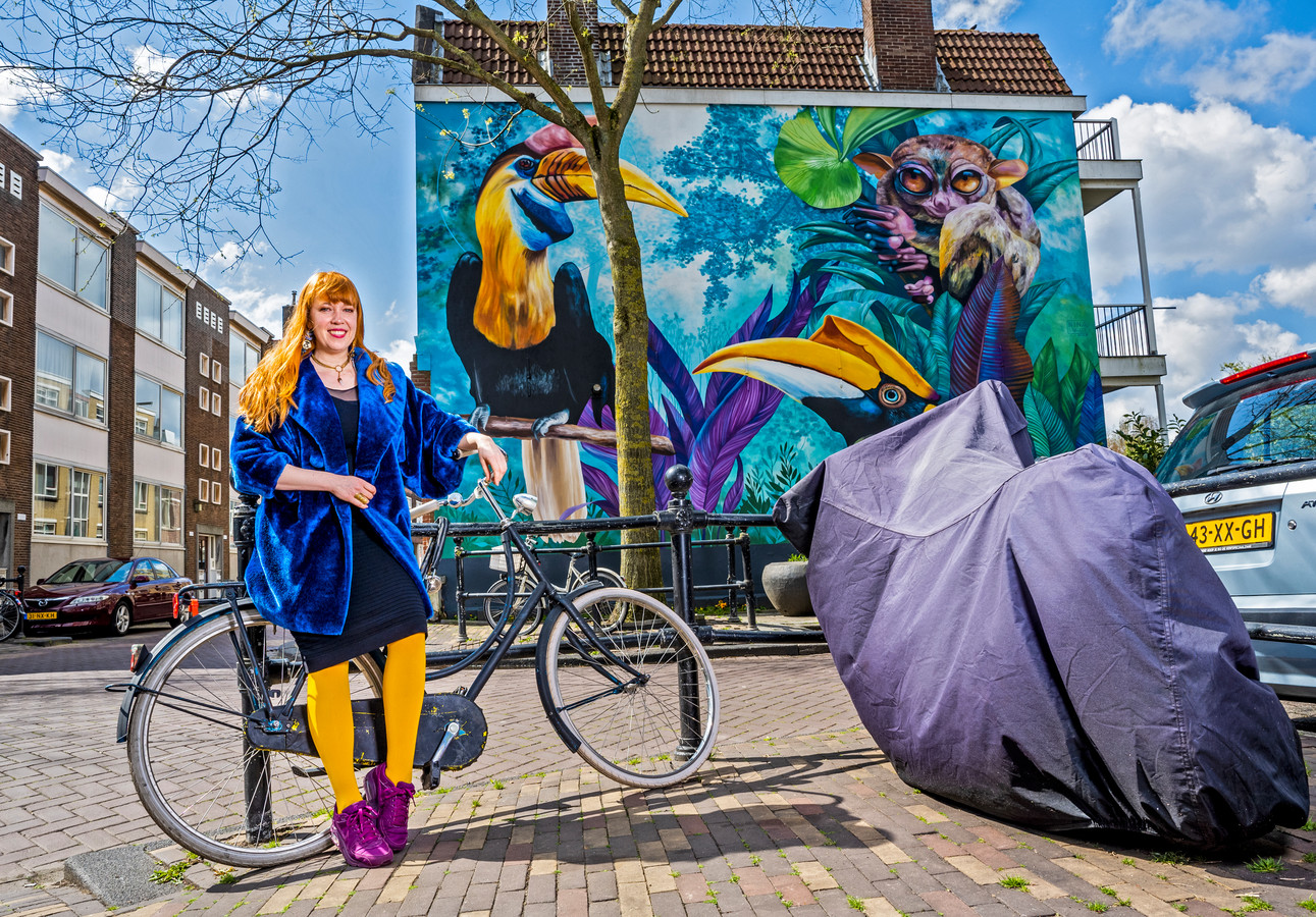 Bewoners appartementengebouw Rotterdam-Noord krijgen een kat op de muur ...