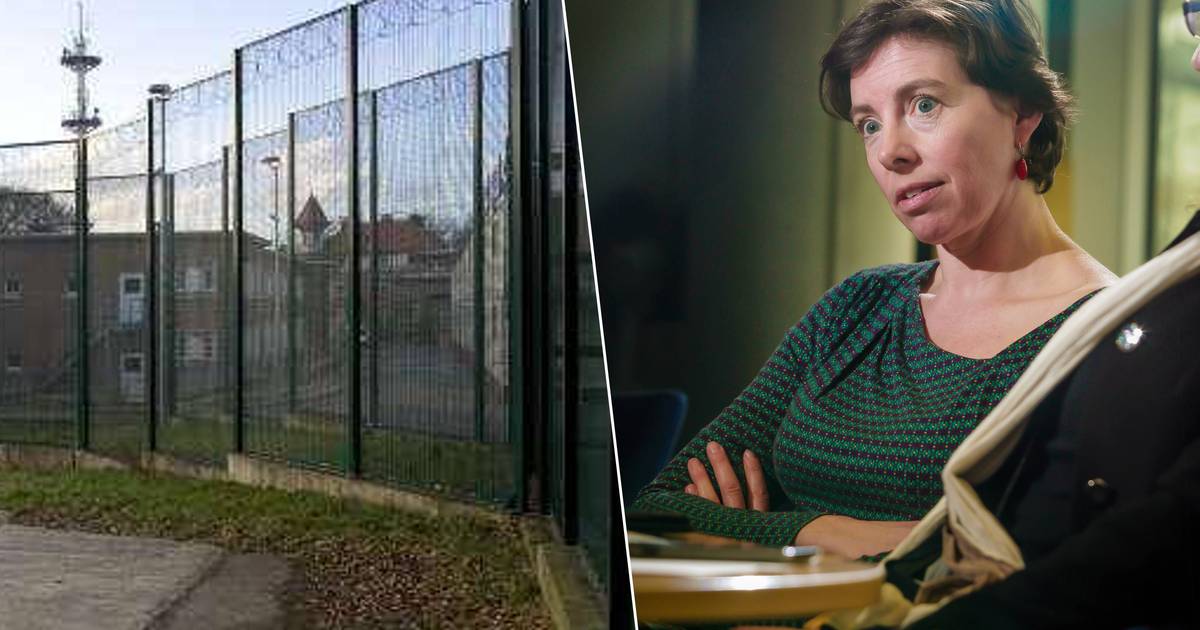 Jeugdrechter stuurt minstens 5 jonge criminelen terug naar huis: “Sorry ...