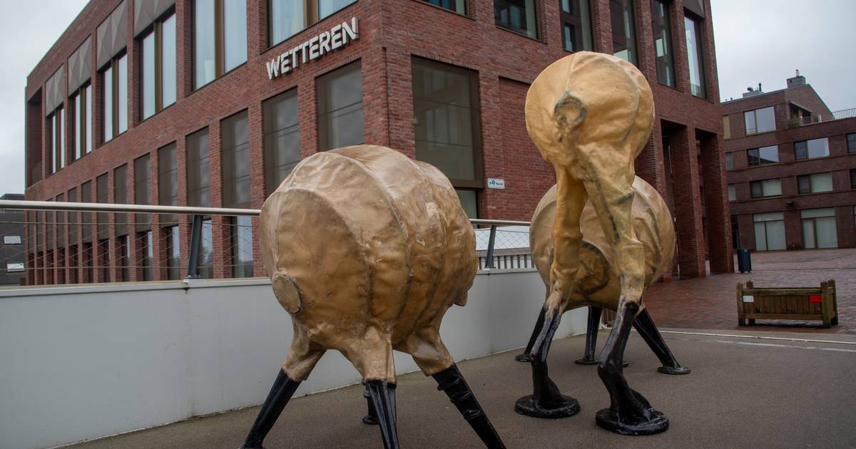 Vreemde wezens duiken op in Wetteren en lokken je naar expo Nikolaas ...