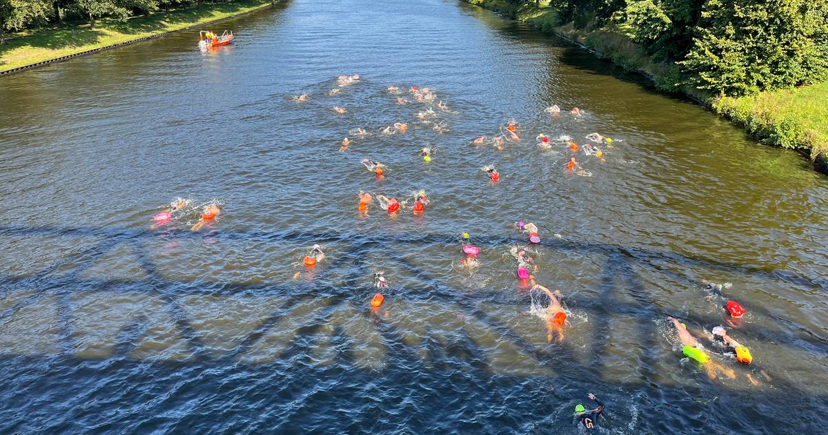 Klassieker Dongen-Oosterhout terug op de kaart: ‘Openwaterzwemmen is ...