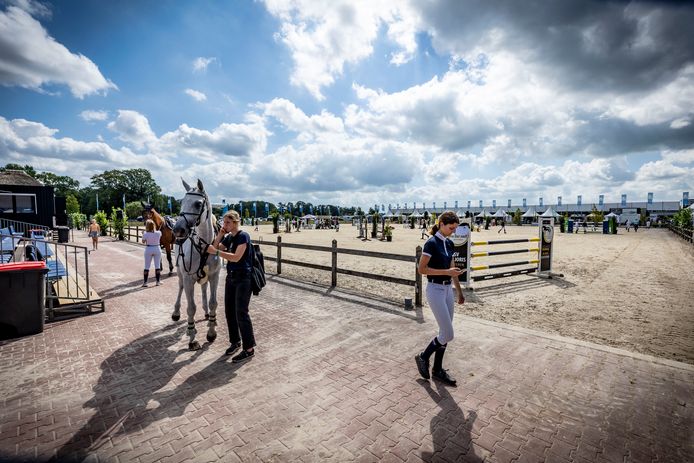 Directeur springconcours over dodelijk ongeval van paard in Geesteren ...