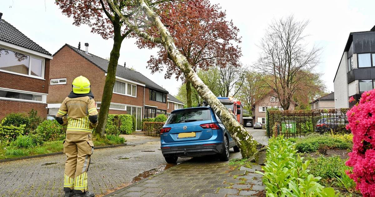 Boom waait om en belandt op auto: brandweer probeert schade te beperken | Brabant | gelderlander.nl