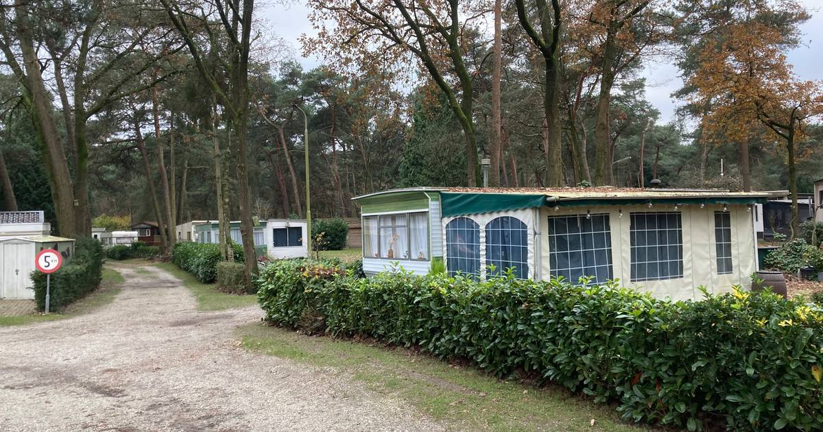 Camping Boekels Ven stond heel even te koop, voor 2,5 miljoen | Boekel ...