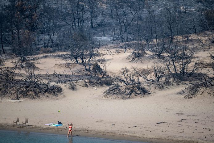 Griekenland lanceert uniek “gratis” vakantie-initiatief na bosbranden ...
