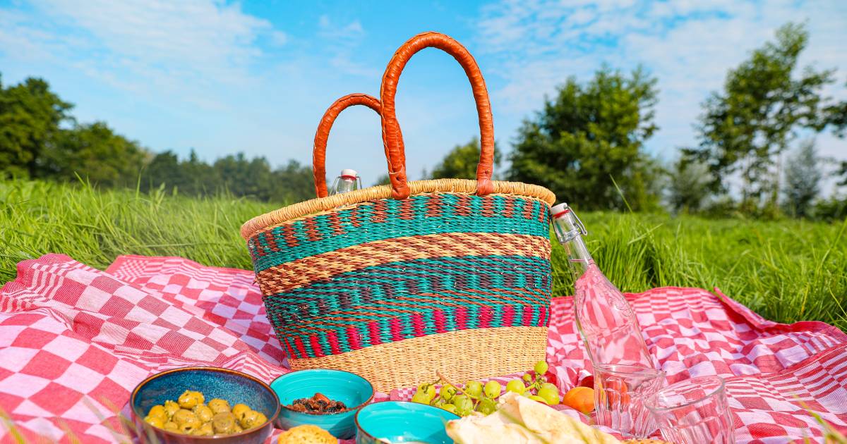 Kom picknicken op het grootste picknickkleed van Rotterdam | Rotterdam ...