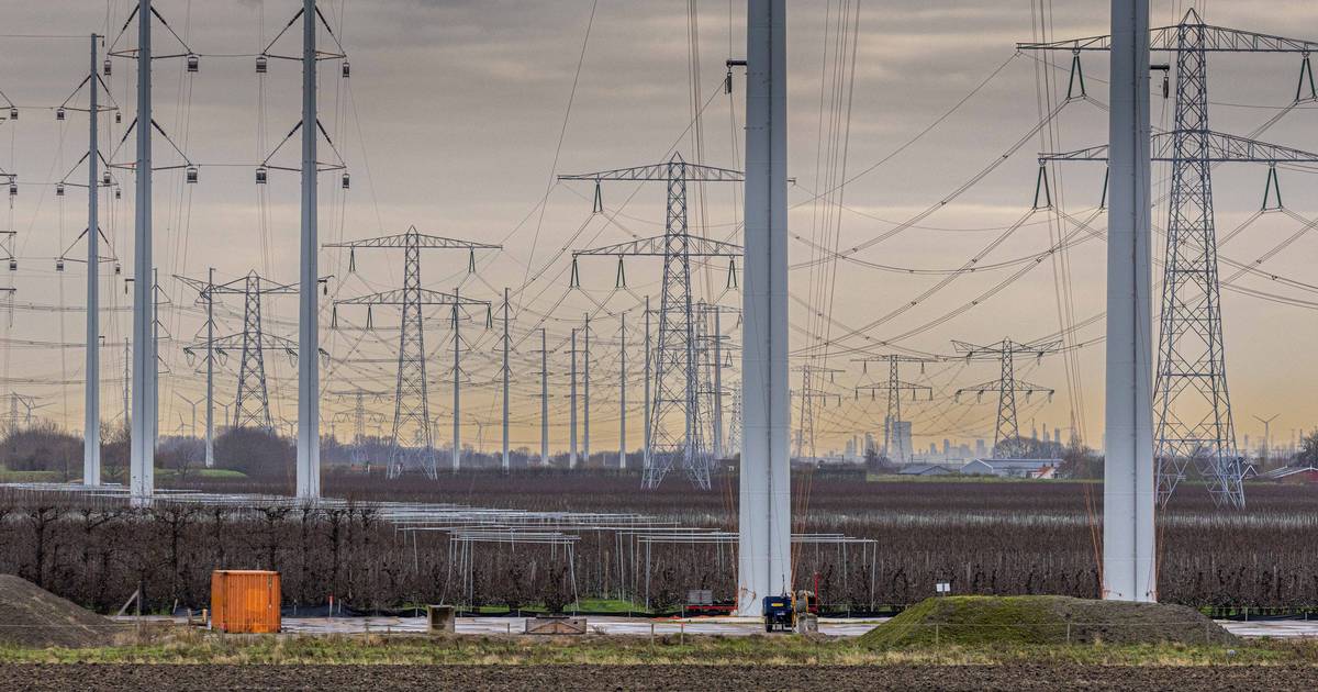 TenneT zegt tegen Borsele dat hoogspanningslijn niet ondergronds kan, totdat minister zich ermee ...