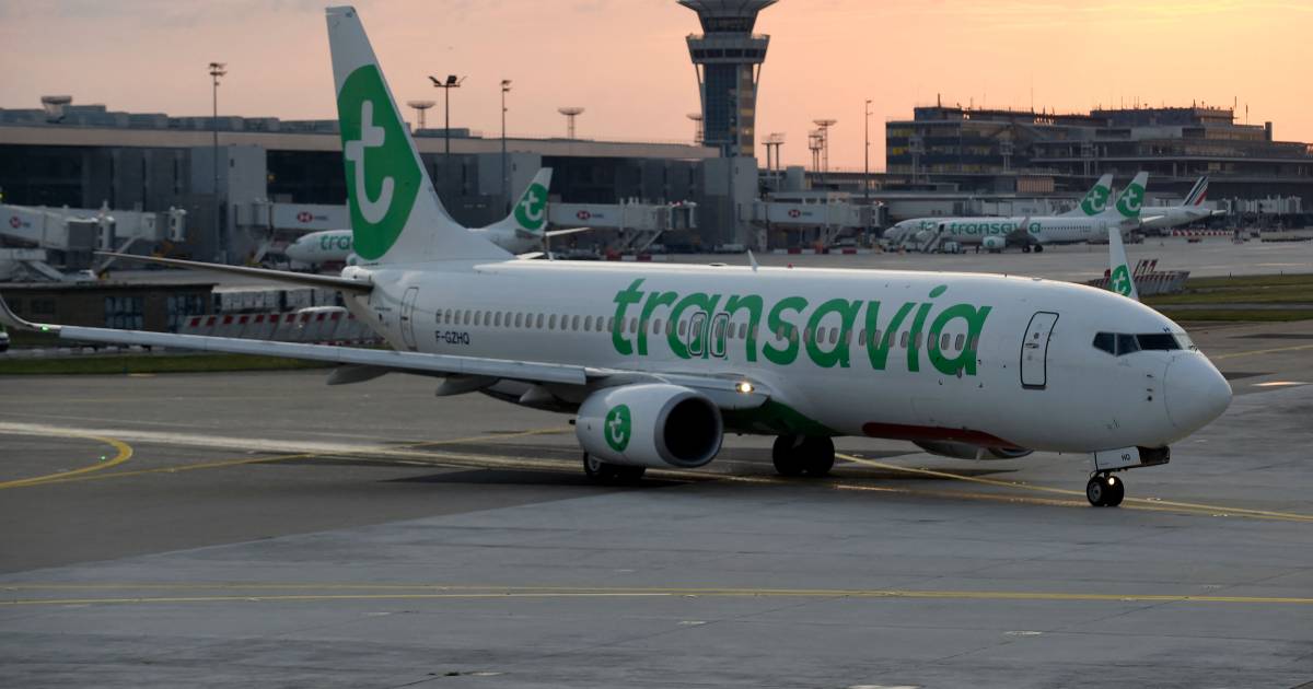 Reisbranche wil oplossingen na nieuwe Transavia-problemen: ‘Wanneer ...
