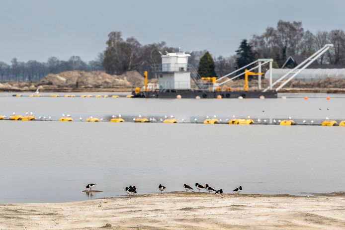 Waterplas zandafgraving nabij Vriezenveen ontwikkelt zich tot vogel ...