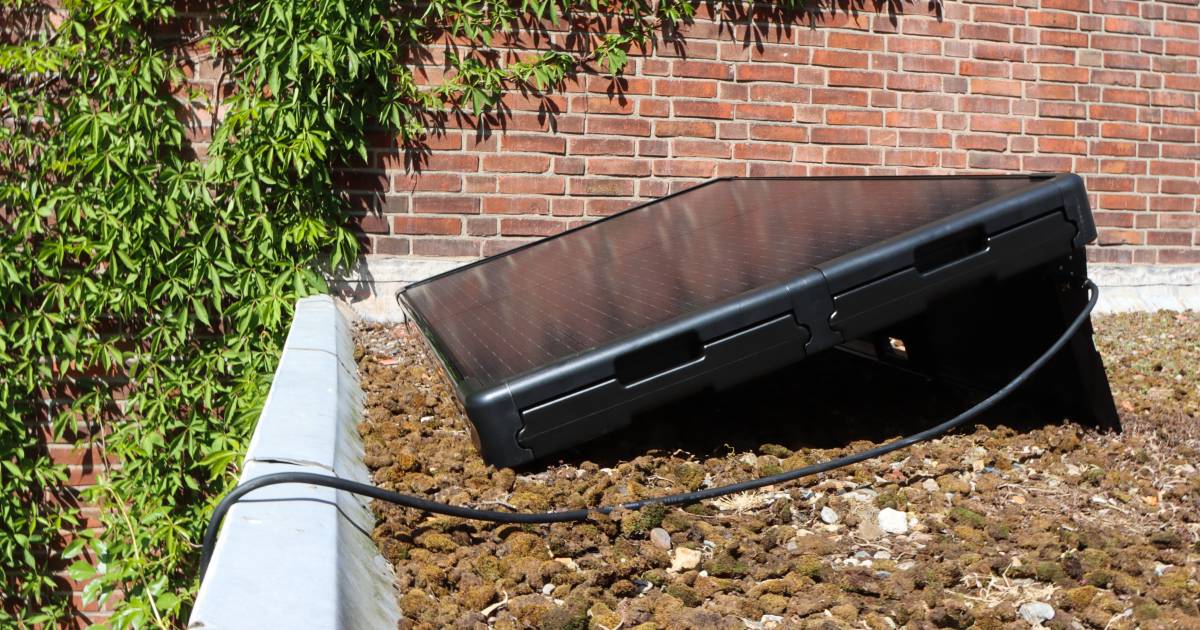 Deze zonnepanelen kun je zelf installeren en de stekker stop je gewoon ...
