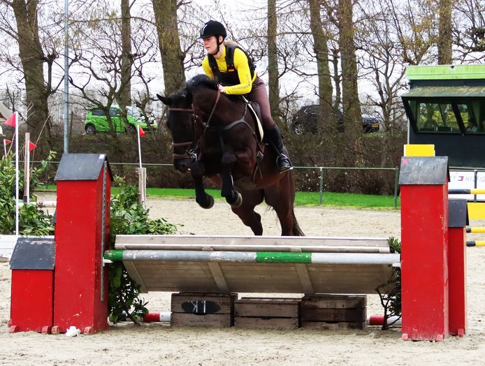 Jacqueline Zandee maakt indruk bij Eventingderby | Sport in Zeeland ...
