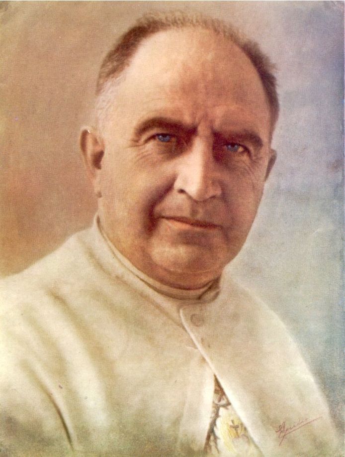 Eindelijk beeld van pater Eustachius in geboortedorp Aarle-Rixtel | De ...