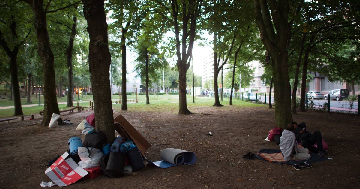 Wat is dat juist een 'transmigrant'? En hoeveel zijn er in België ...