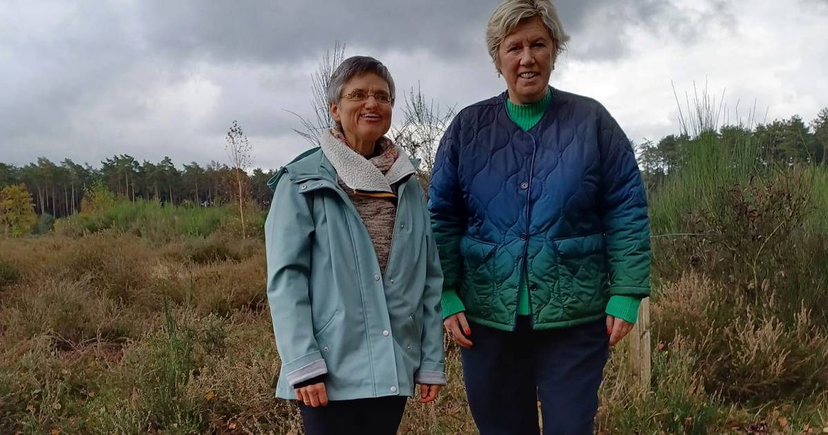 Gouverneur Cathy Berx brengt werkbezoek aan Laakdal en maakt wandeling ...