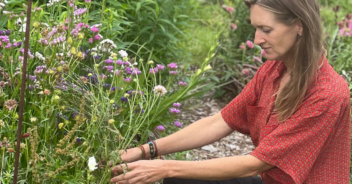 Jolijn zegde baan op en verkoopt nu duizenden tuinplanten: ‘Ik kijk nu ...