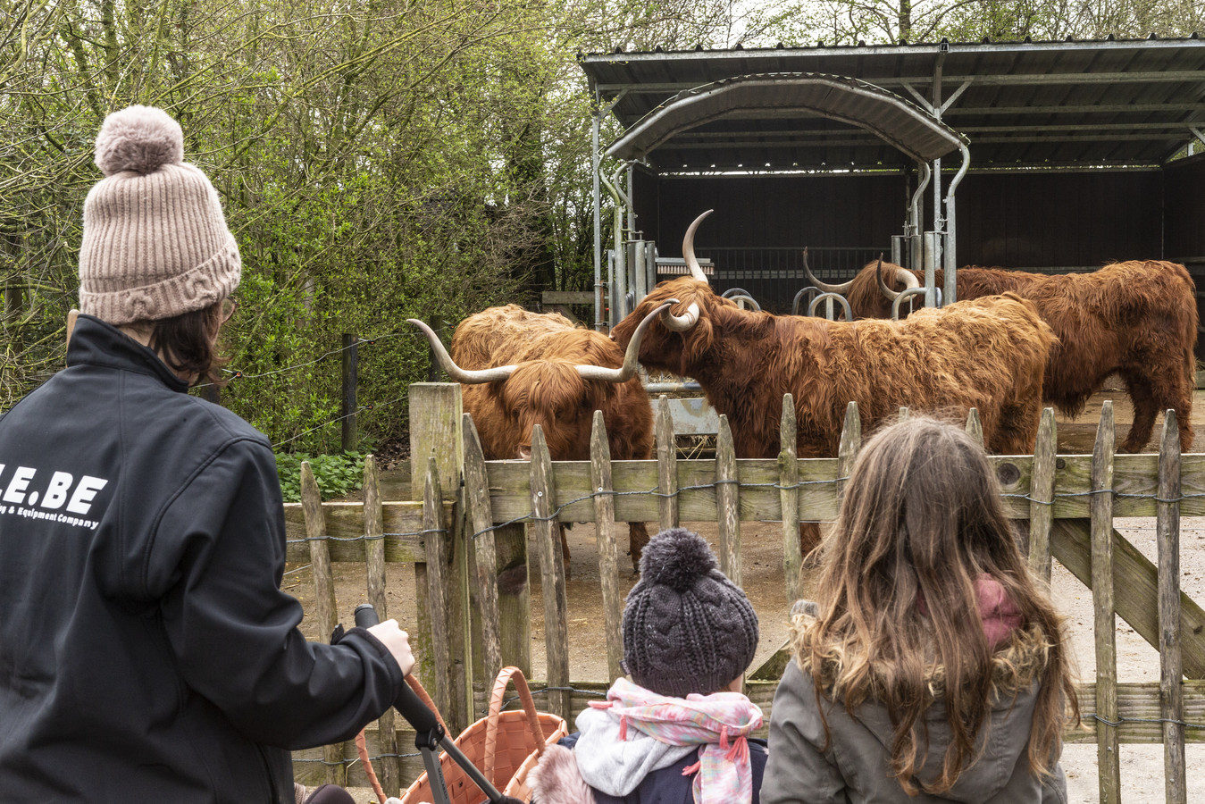 Op bezoek in De Zonnegloed, het dierenpark dat in beslag genomen ...