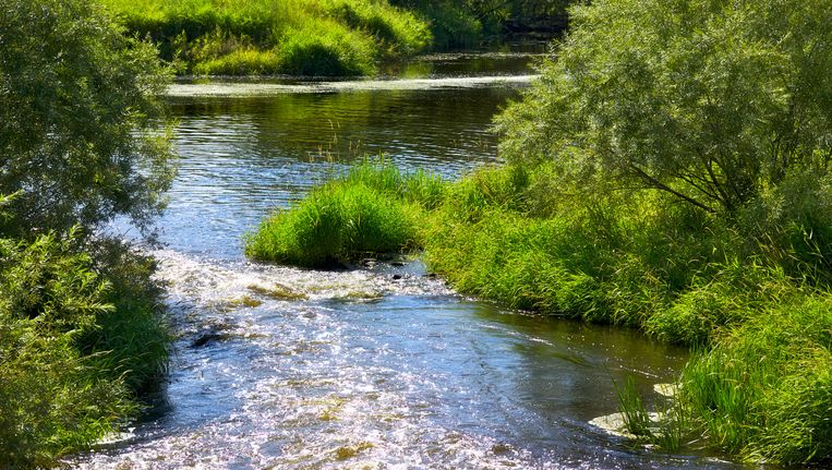 Helft Europese rivieren bedreigd door vervuiling | De Morgen