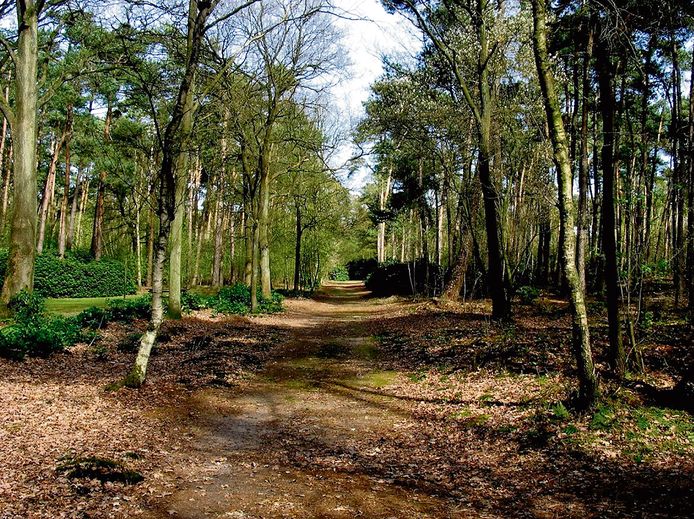 Dichtwedstrijd voor nieuwe gedichtenroute door Rucphense natuur ...