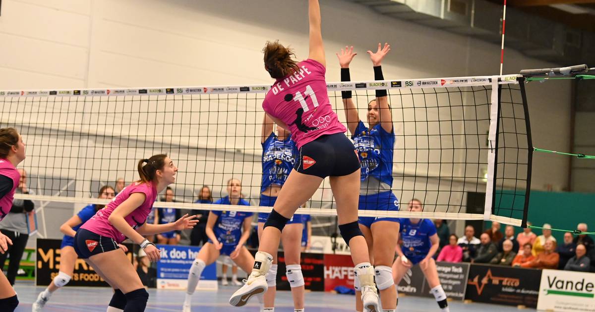 Volleybal: Vijf ploegen uit België krijgen volgend jaar een Europees ...